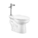 flushometer – HCG Bathroom Fixtures Online Shop