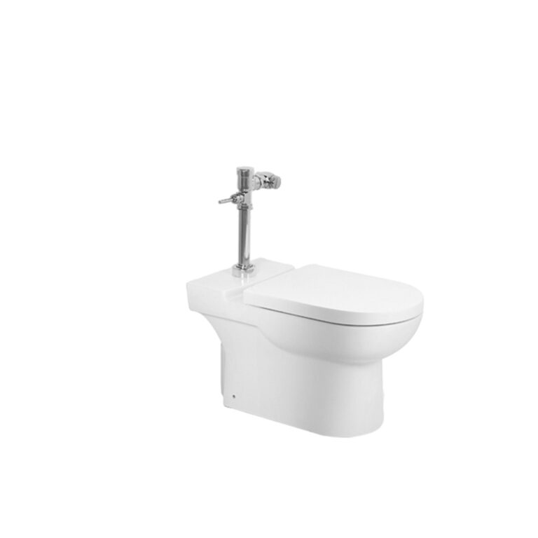 Flush Valve Type – HCG Bathroom Fixtures Online Shop